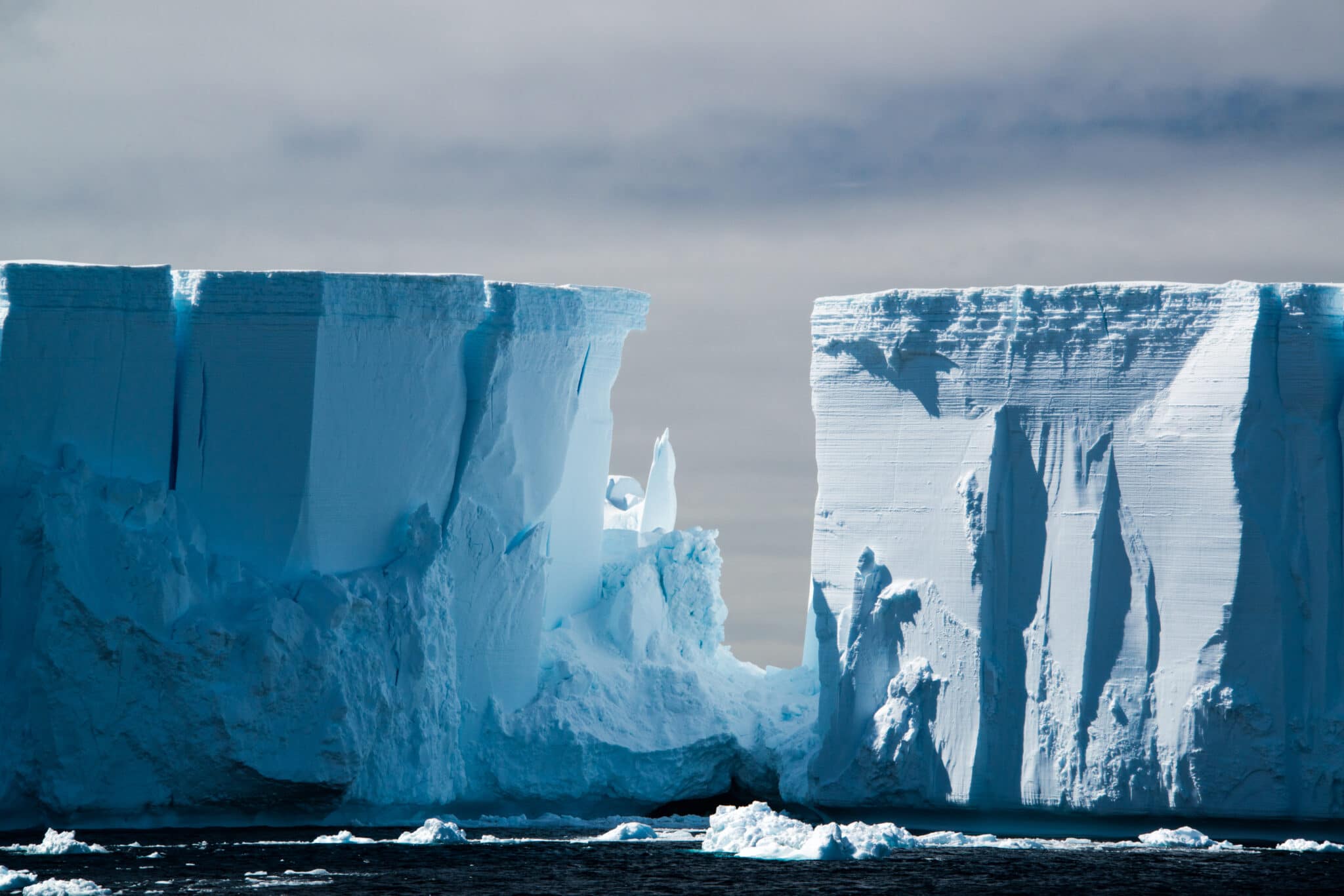 77 Species Discovered Beneath Antarctic Ice Shelf - crednews