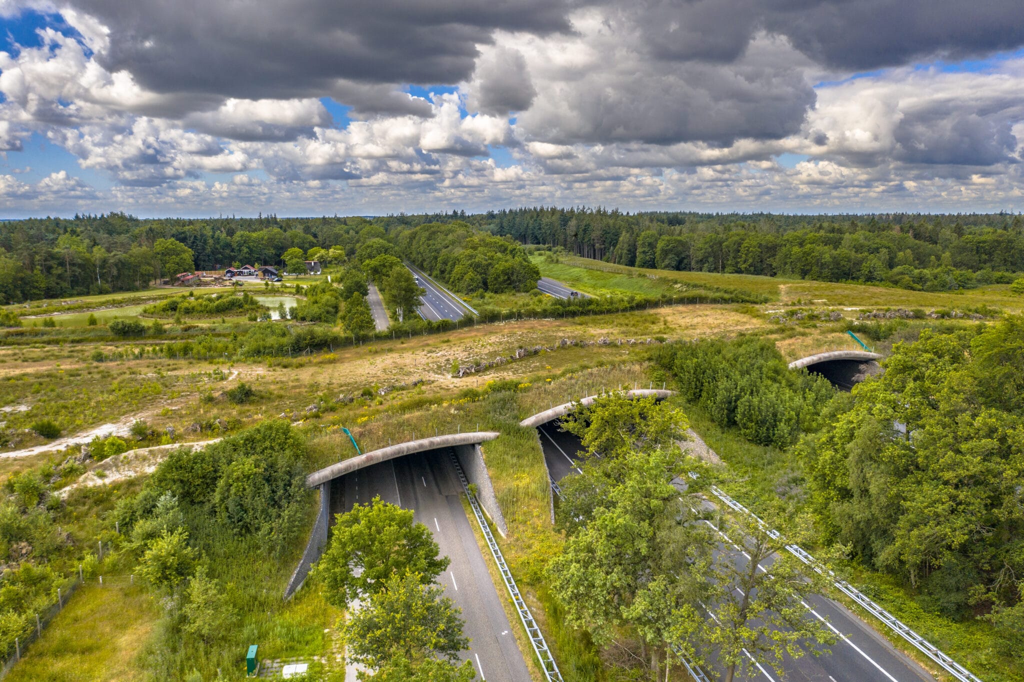 World's Largest Wildlife Crossing Underway in Southern California ...